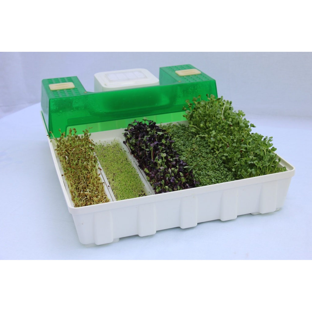 Sprouters Archives - Plant Based Pros