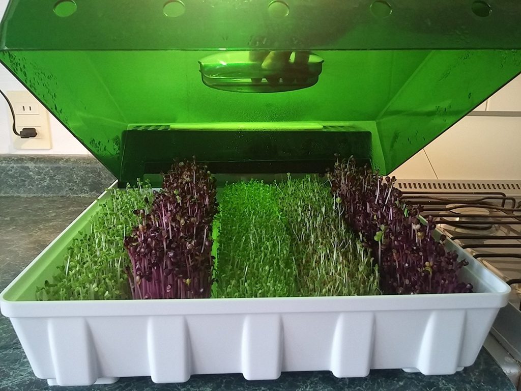 EasyGreen Micro Farm Sprouter Mist Generator - Plant Based Pros
